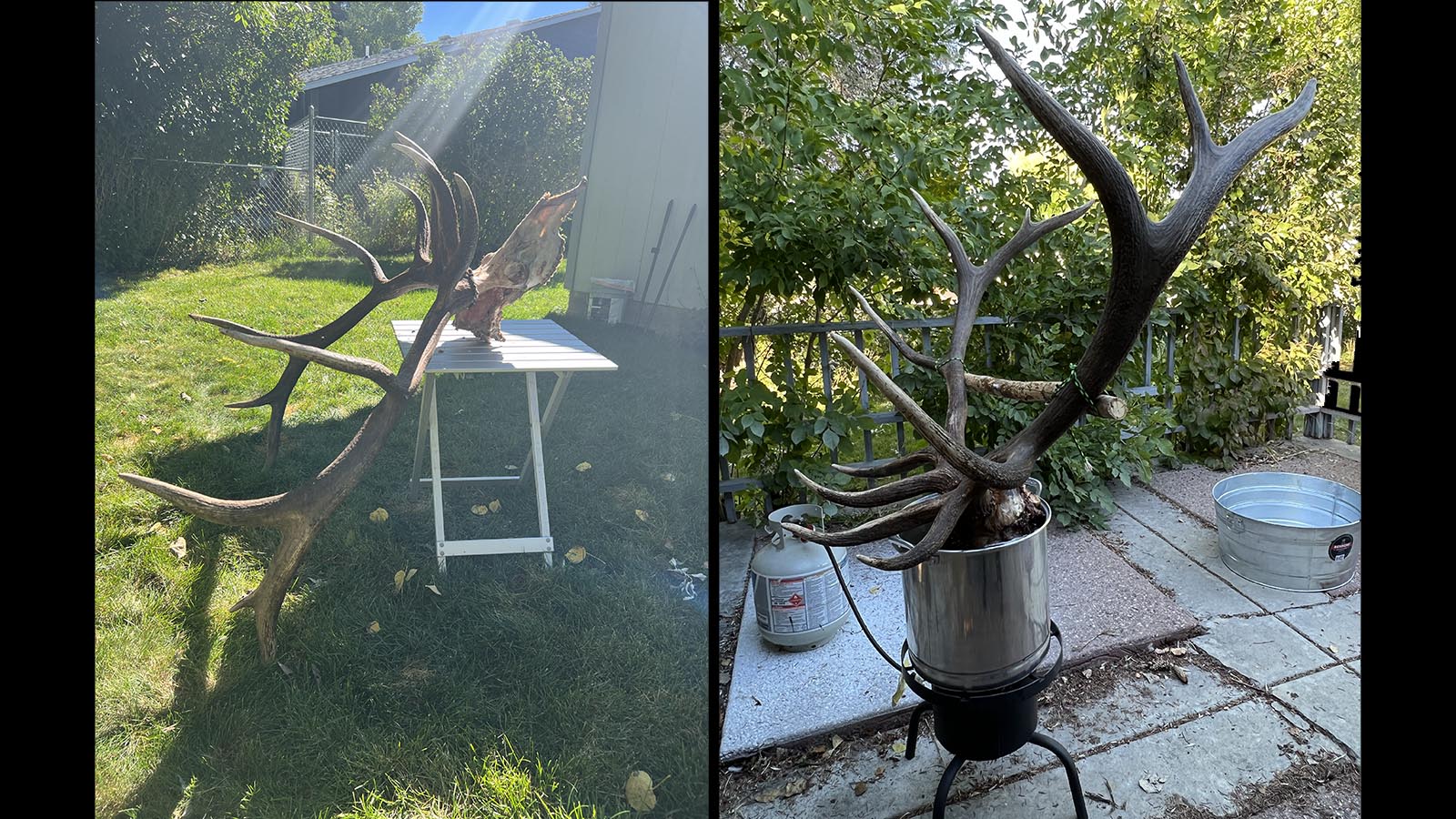 ‘Dirtbags’ Strike Again: Huge Elk Rack Stolen From Backyard In Lander ...