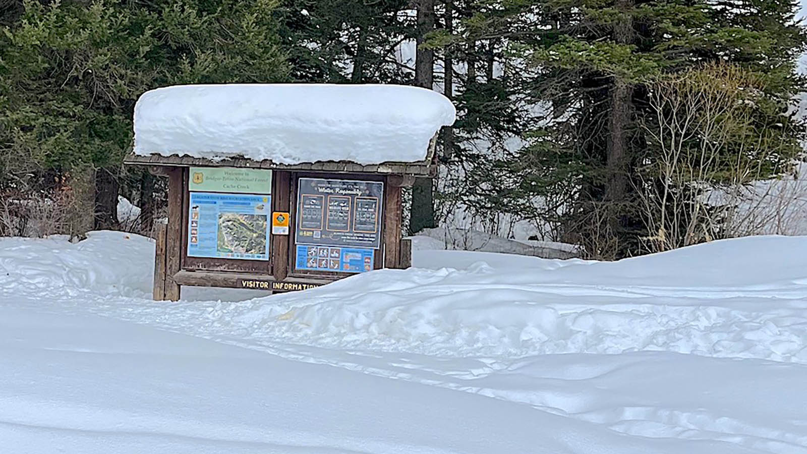 With 511 inches Of Snow, Jackson Doesn't Have Any Place To Put The Snow ...